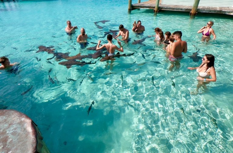 EXACTLY HOW TO SWIM WITH PIGS NASSAU TO EXUMA BAHAMAS TOUR GUIDE | From ...